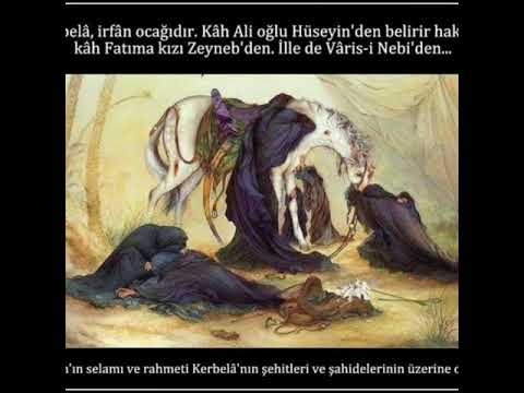 Elveda Bacım Zeynep