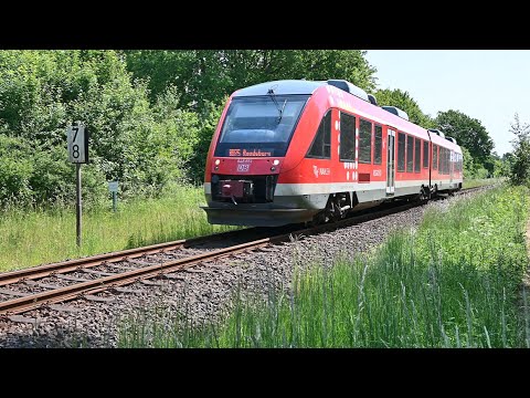 🚆 Triebwagen Lint DB 648 951-1 fährt am Bü Melsdorf als RB 75 in ...