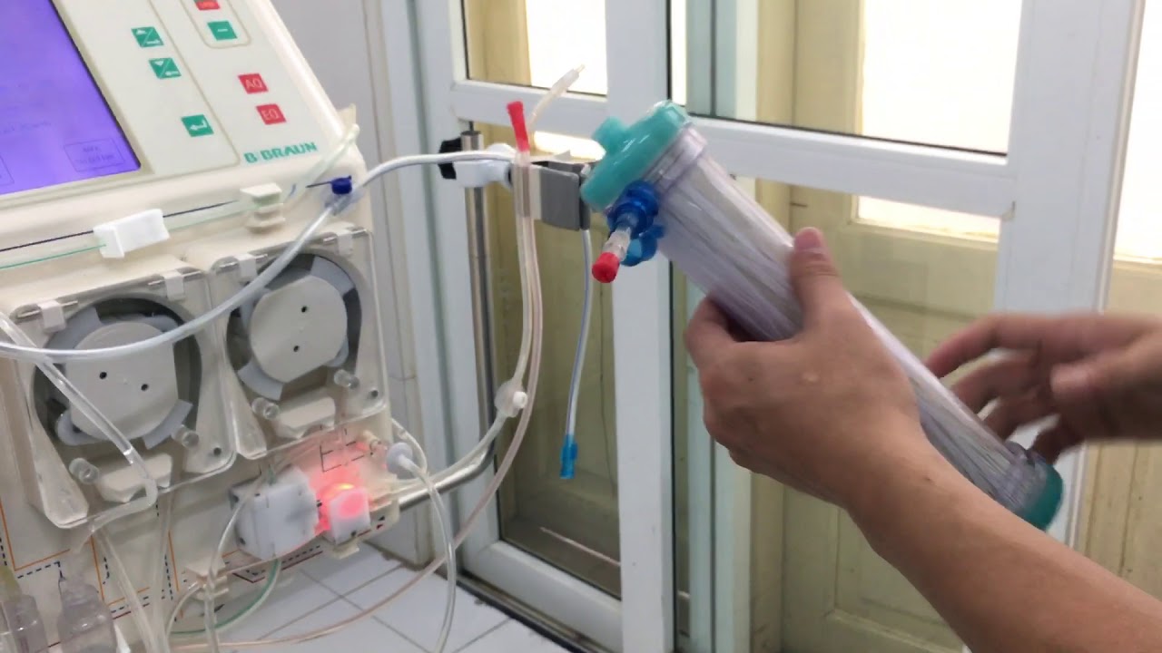 Lắp dây cvvh - YouTube