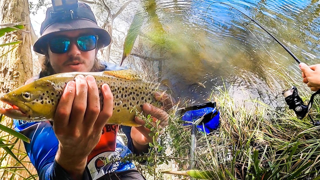 Trout Fishing an Australian River - YouTube