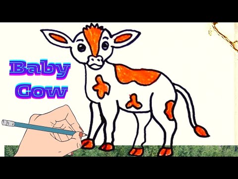 How To Draw A Baby Cow -,,| Very Easy Cow | For Kids - YouTube