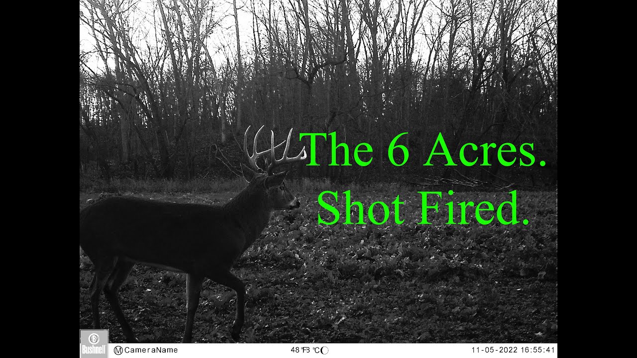 The 6 Acres. Shot Fired. - YouTube