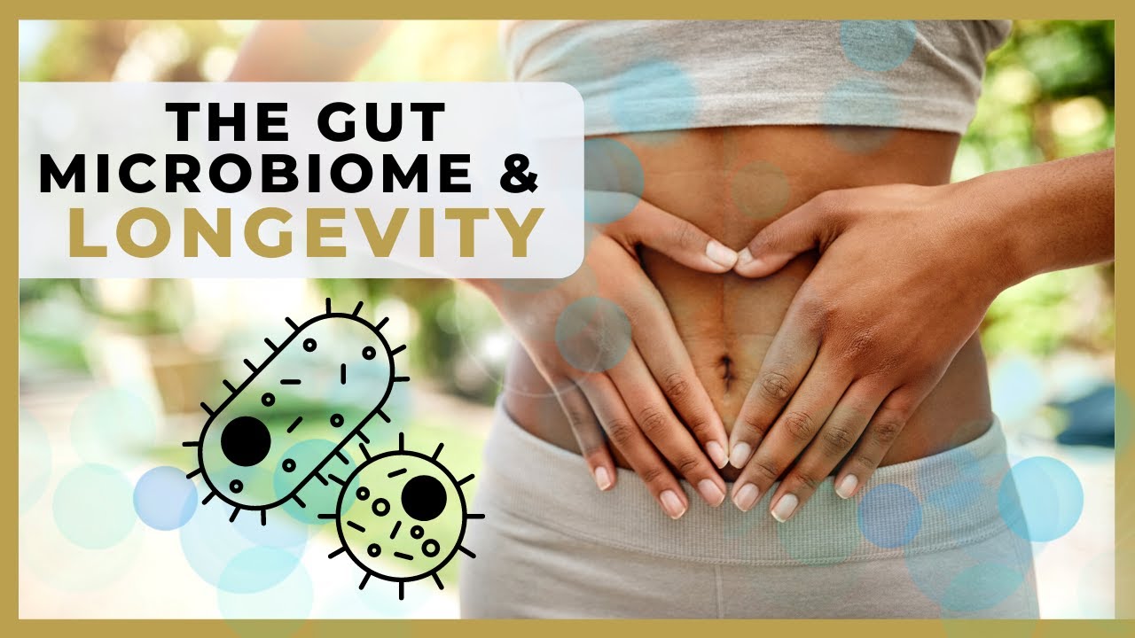 How the Gut Microbiome Affects Your Health & Longevity | Beyond Sapiens ...