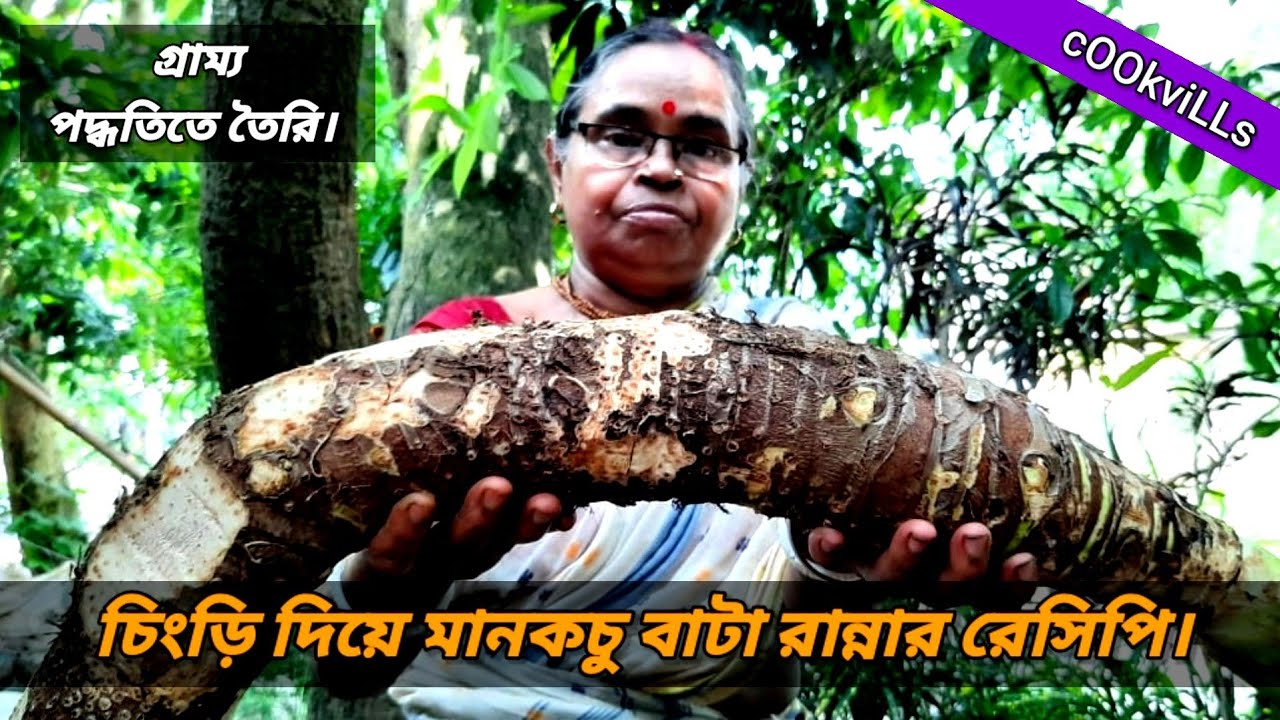 Arum root with Shrimp paste recipe | mankachu bata | traditional ...