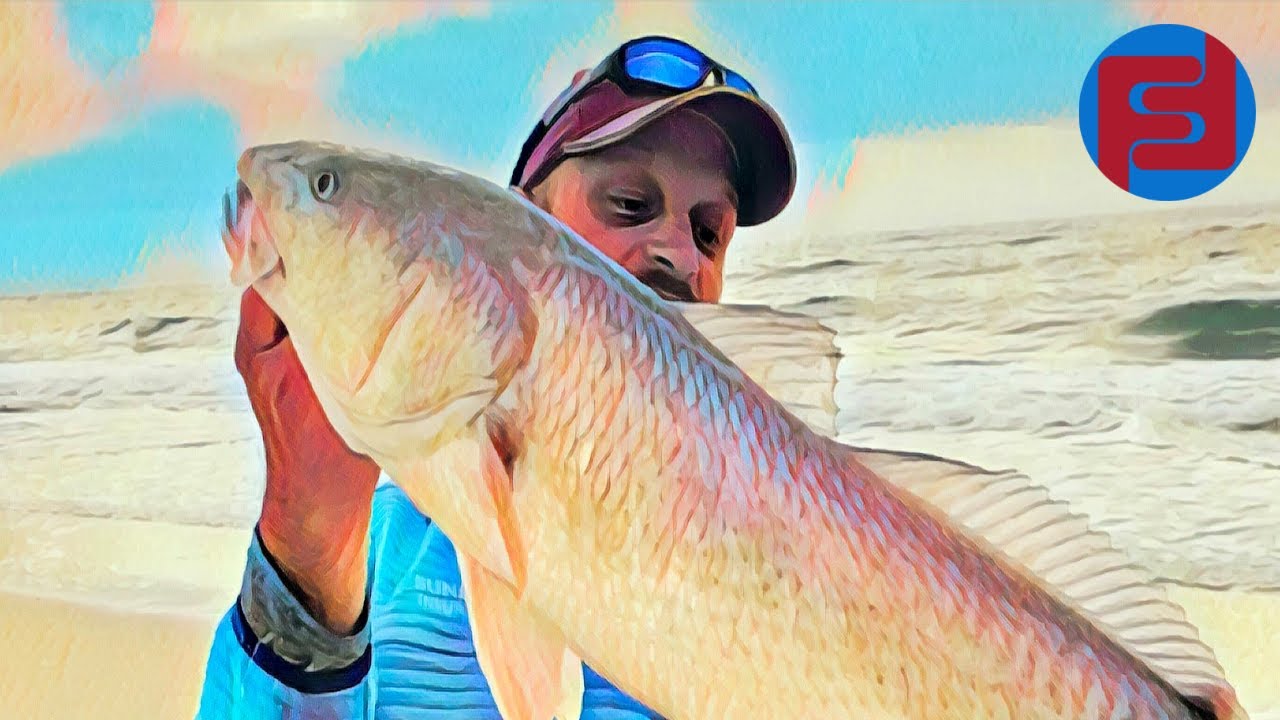 PART 2: Learning HOW to SURF FISH in the Gulf Shores with GREAT success ...