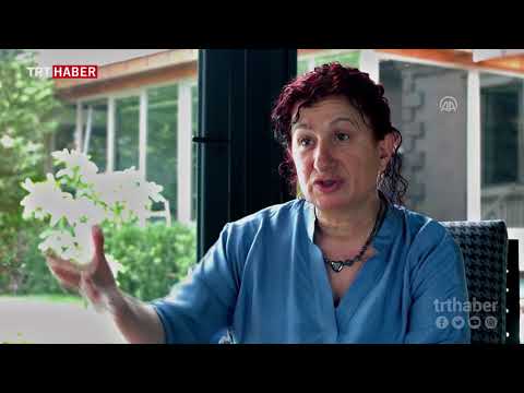 Cumhurbaşkanı Erdoğan'ın bilinmeyen yönleri belgesel oluyor