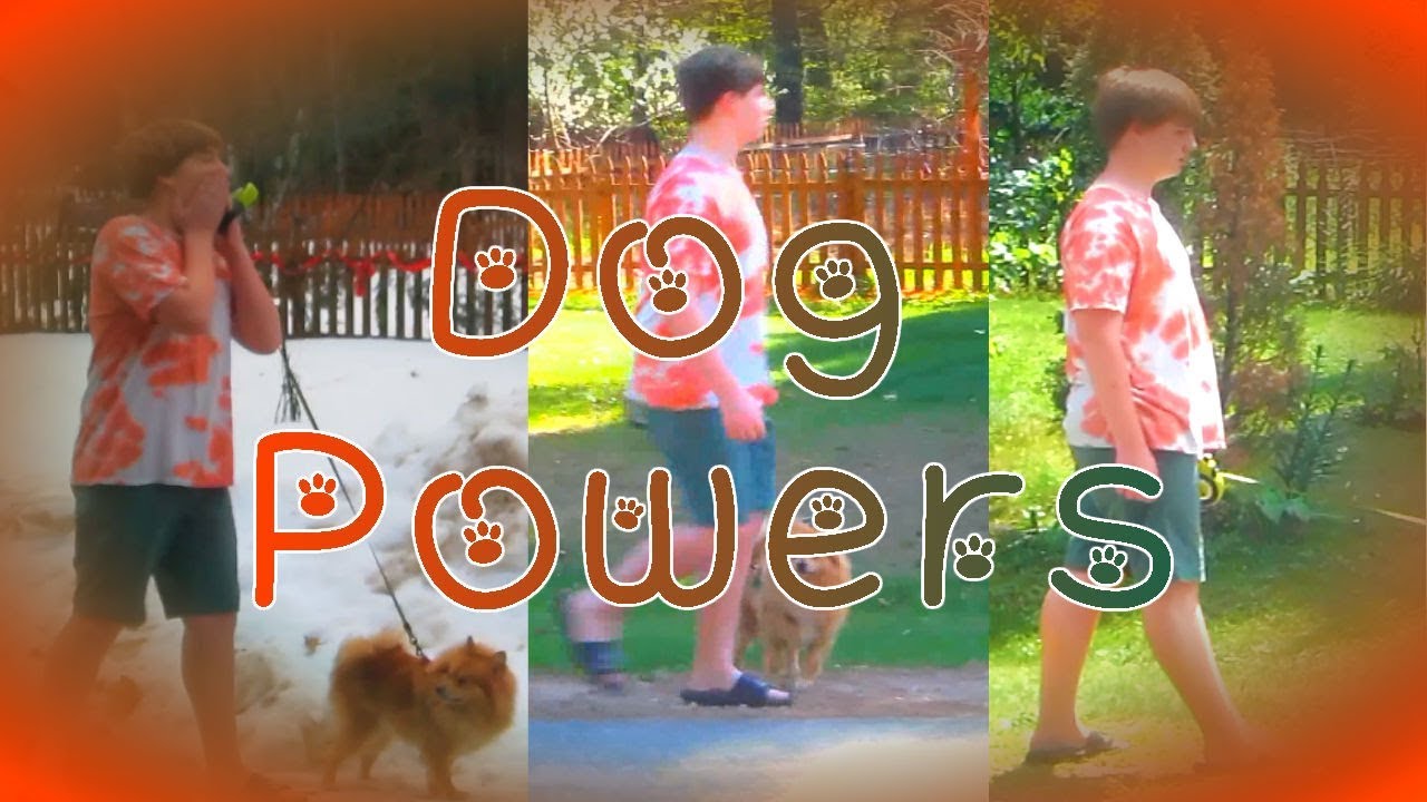 Dog Powers (200th Video Movie) *Thanks For Your Support* - YouTube