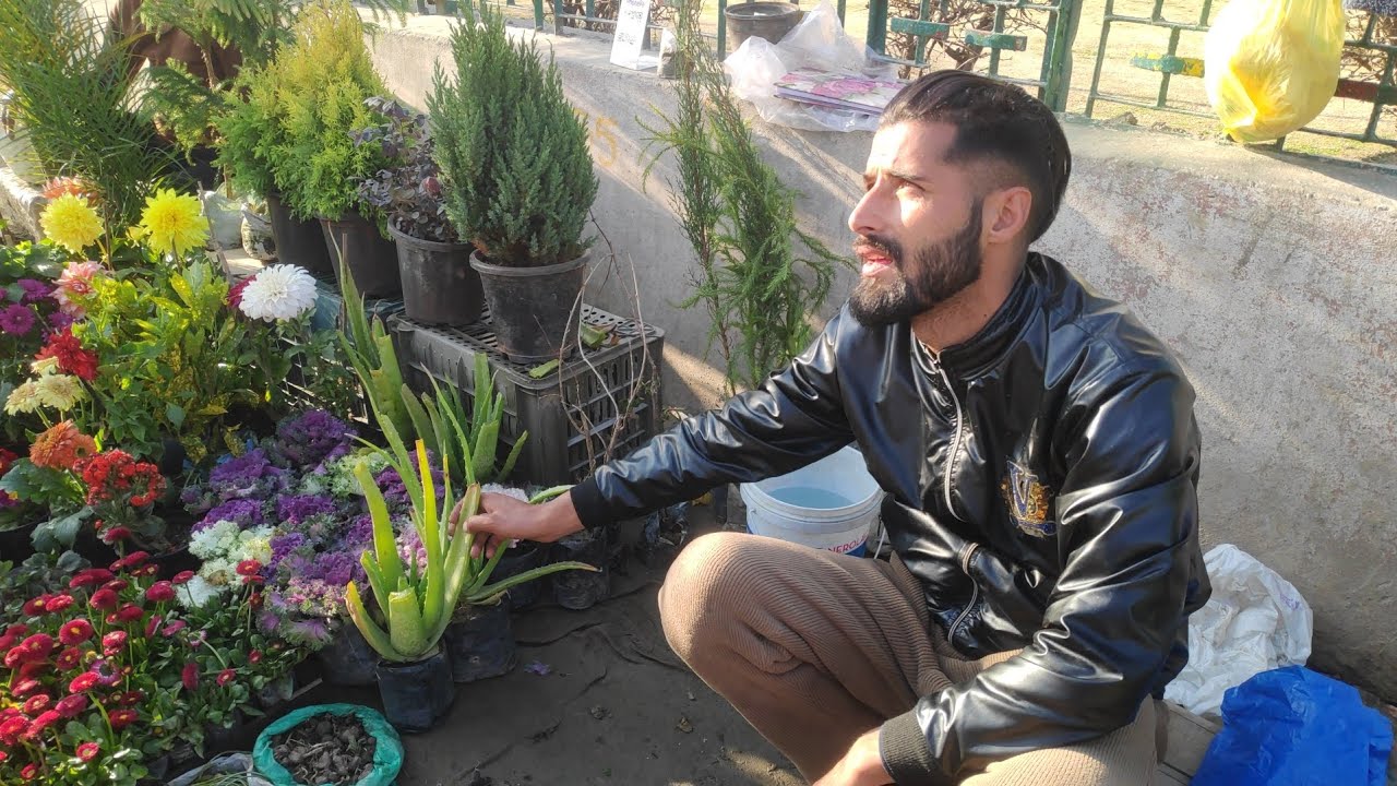 Shukur Allah ka kisi ke Samnay sar nahi jukatay hain Umer Bashir from Nowpora Nursery flowers ...