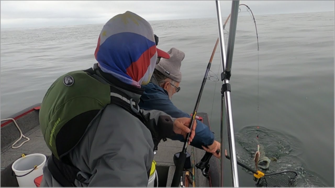Santa Cruz fishing [ Mackerel, Rock Cod and Ling ] - YouTube