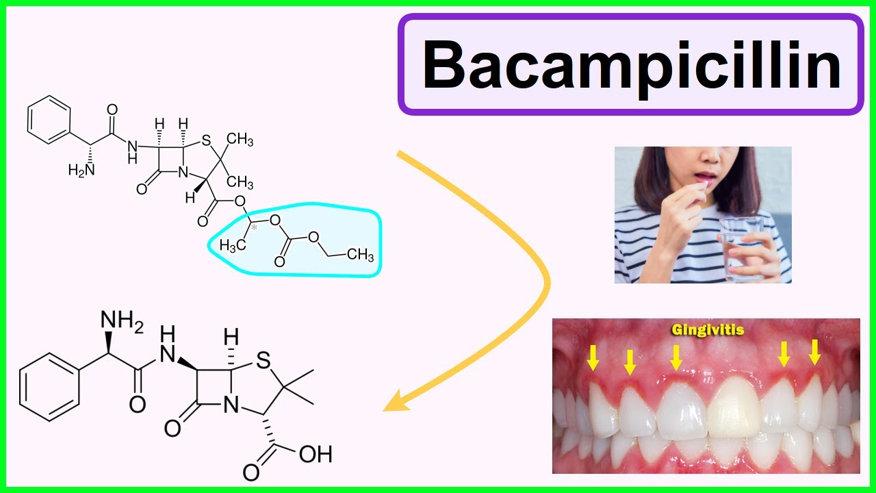 bacampicillin - YouTube