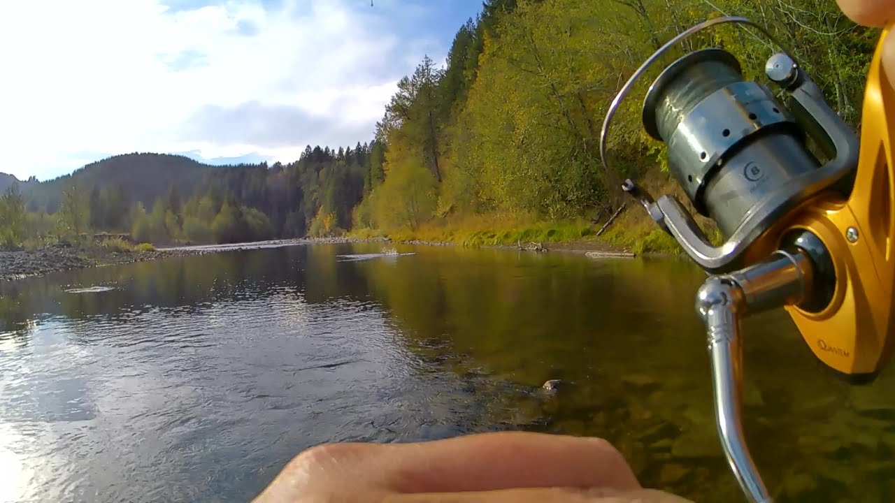 Screaming Drag COHO Salmon #fishing #happy - YouTube