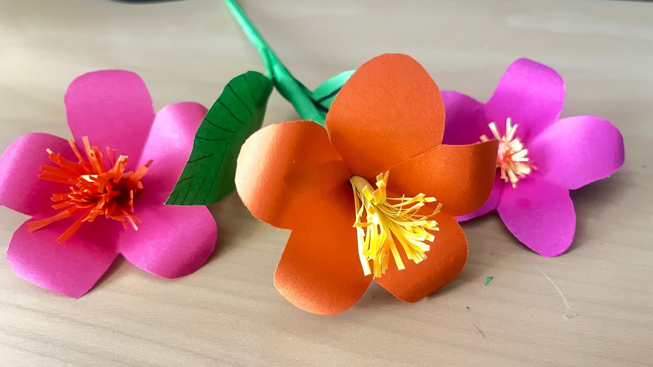 Beautiful Paper flowers Paper craft Origami Paper flowers for school ...