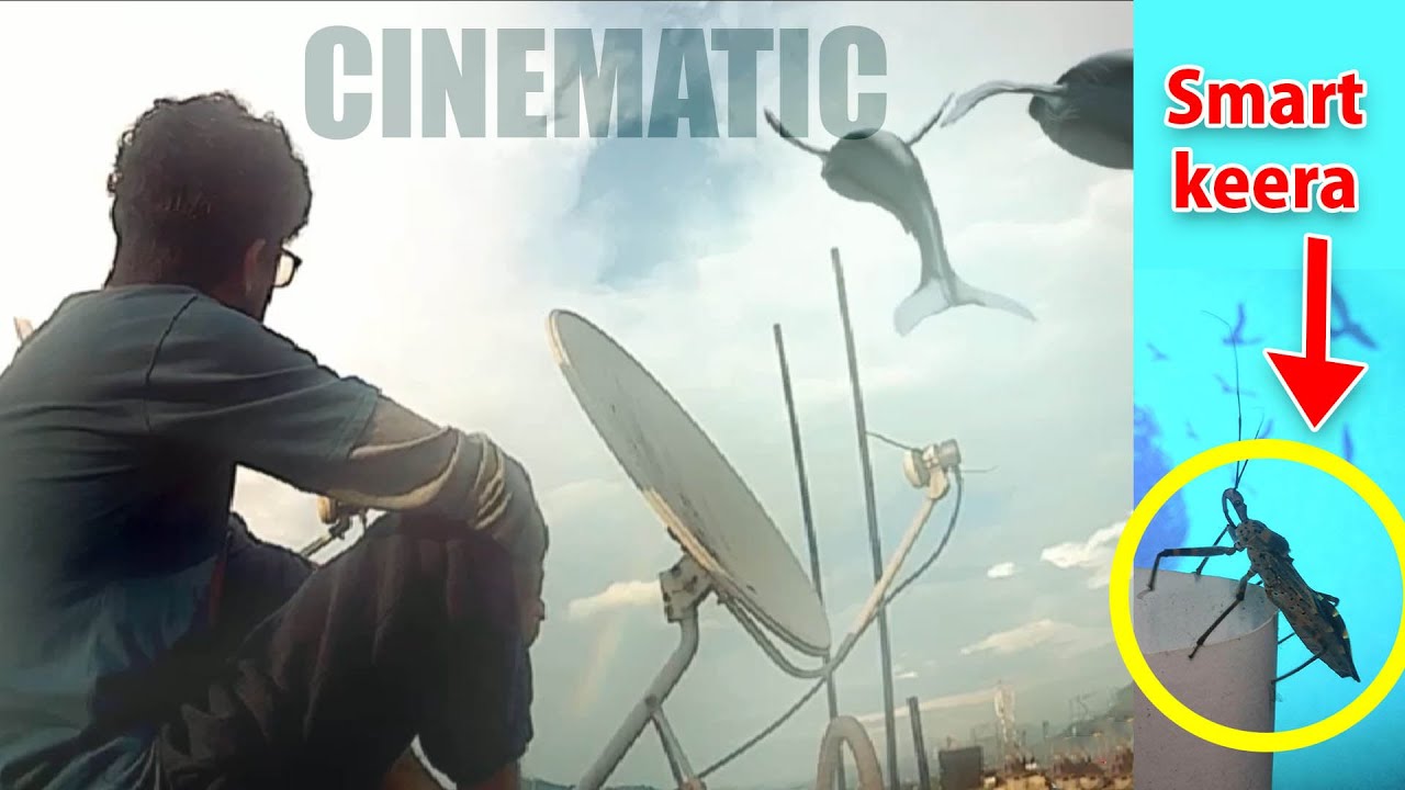 Smart keera(insect) | Cinematic | Visual effects - YouTube
