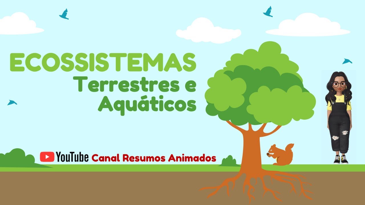 ECOSSISTEMAS: TERRESTRES E AQUÁTICOS | RESUMO ESCOLAR - YouTube