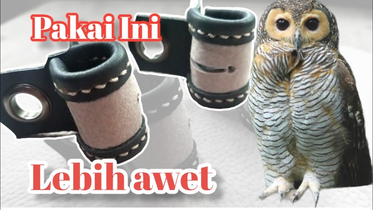 Cara membuat angklet burung alap alap elang dan burung hantu double ...