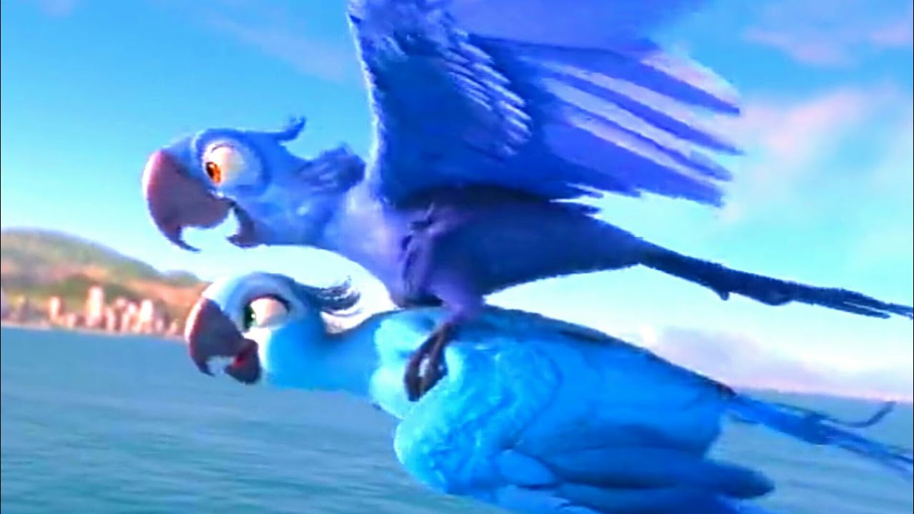 Blu Consegue Voar | Rio (2011) DUBLADO HD - YouTube