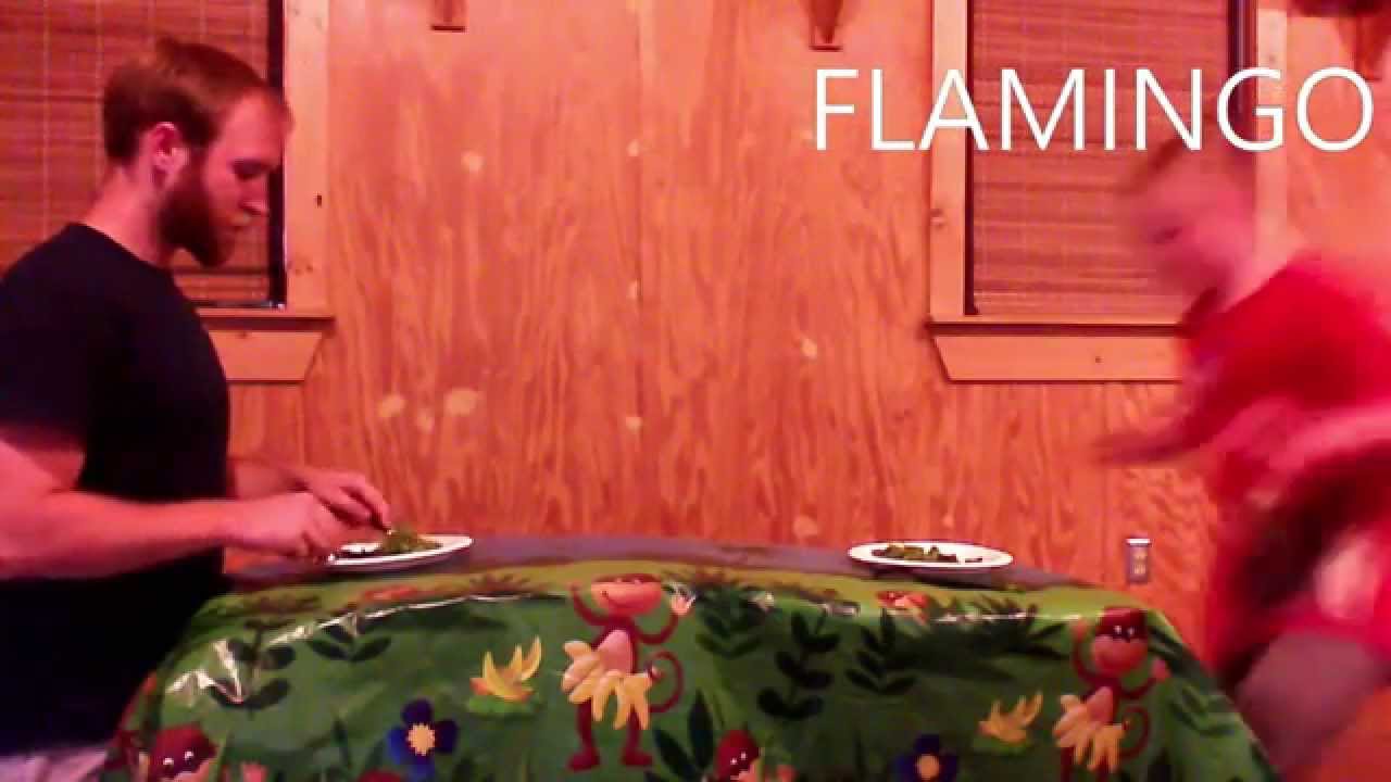 How Animals Eat Their Food- Zoo Atlanta Edition - YouTube