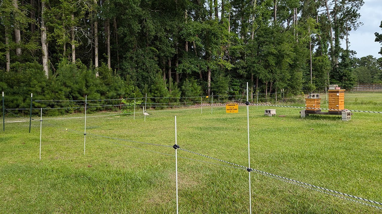 Electric Fence Deer Proof Deer Proof Gardens: 4 Sure Fire Ways To Keep