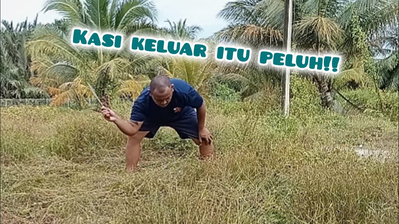 Aktiviti Petang di Pedalaman | Menebas Rumput Yang Tebal - YouTube