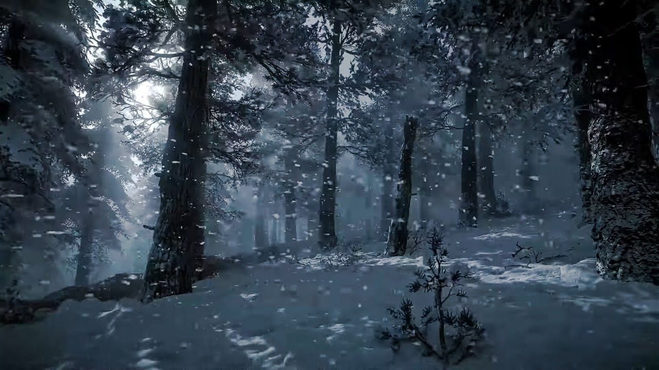 Unusually beautiful winter forest winter blizzard and strong wind with ...