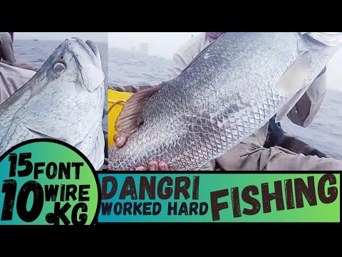 kimari fishing Dangri fish is hard work 10 kg 😯😯 - YouTube