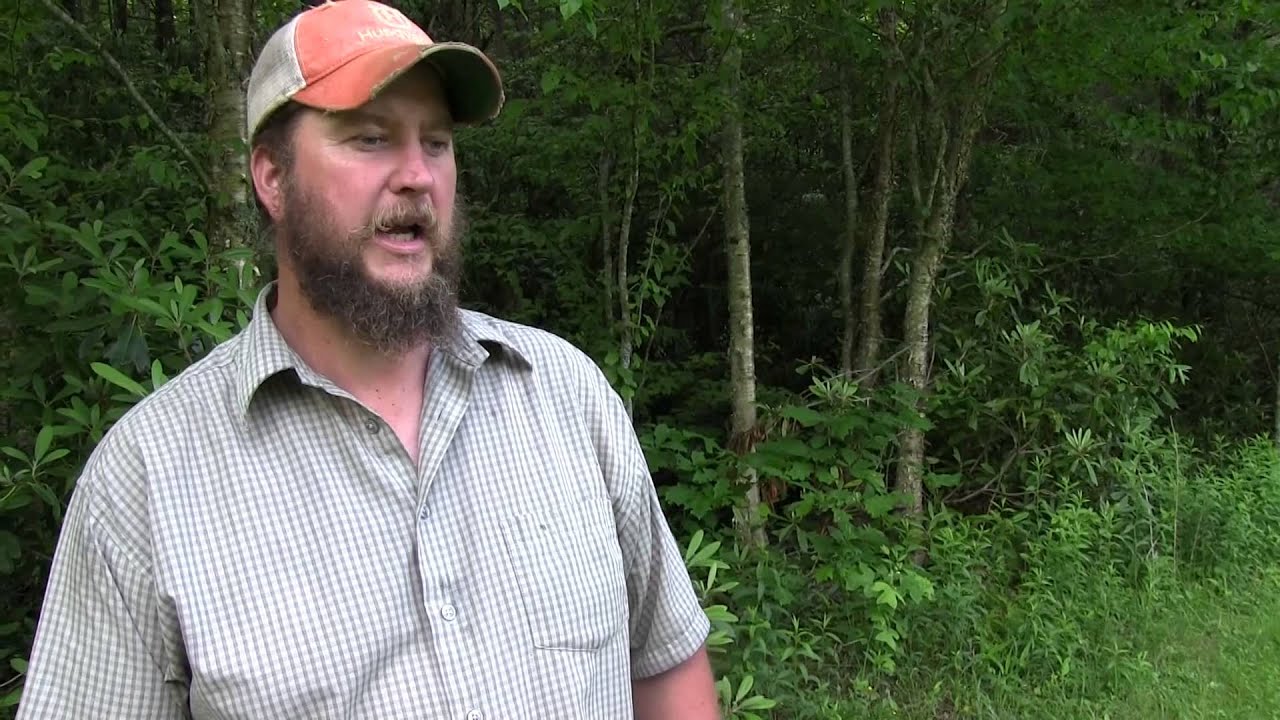 Peeling Poplar Bark - Tim Glenn Interview - YouTube