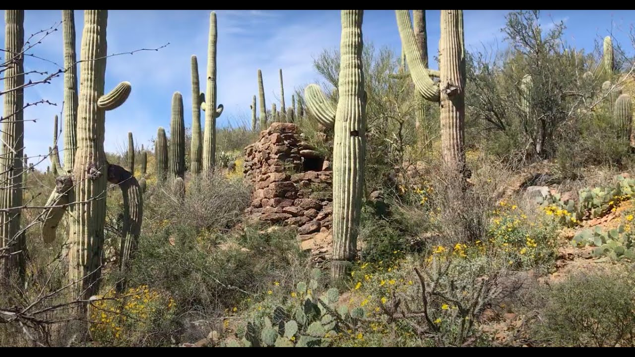 Exploring a beautiful abandoned rock house in the Sonoran Desert - YouTube