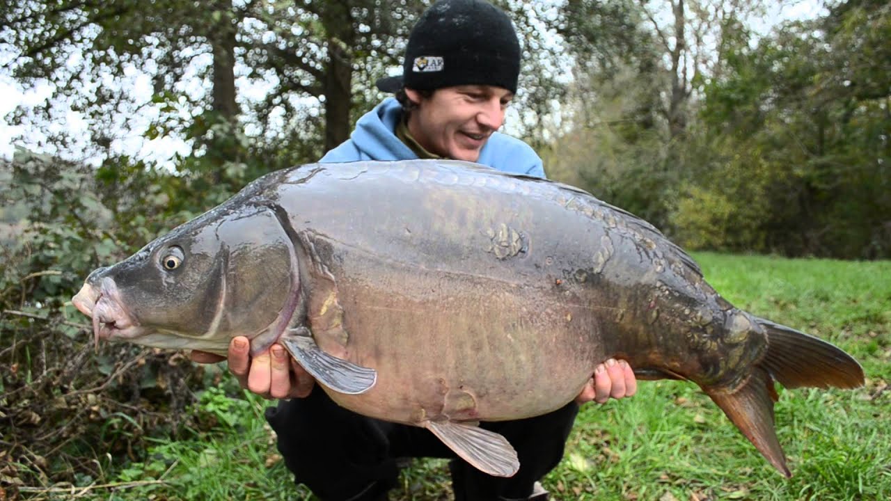 Roderick Langaveld's French Carp - YouTube