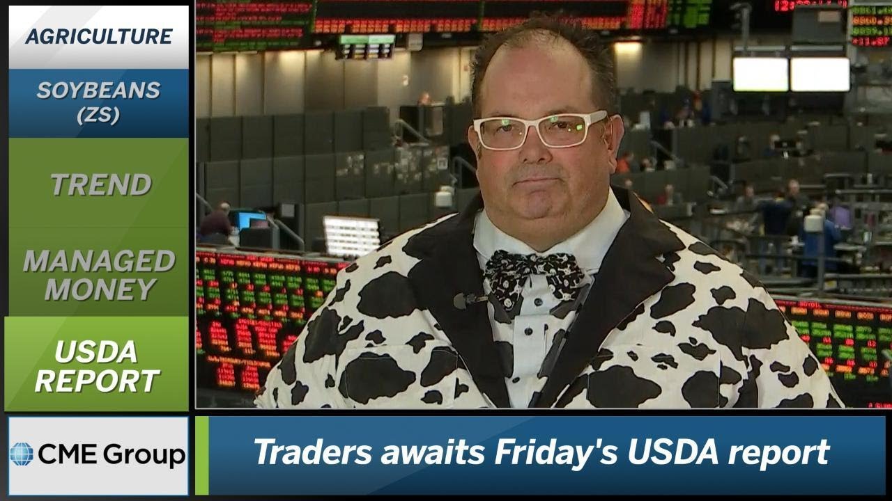 January 7 Grains Commentary: Scott Shellady - YouTube