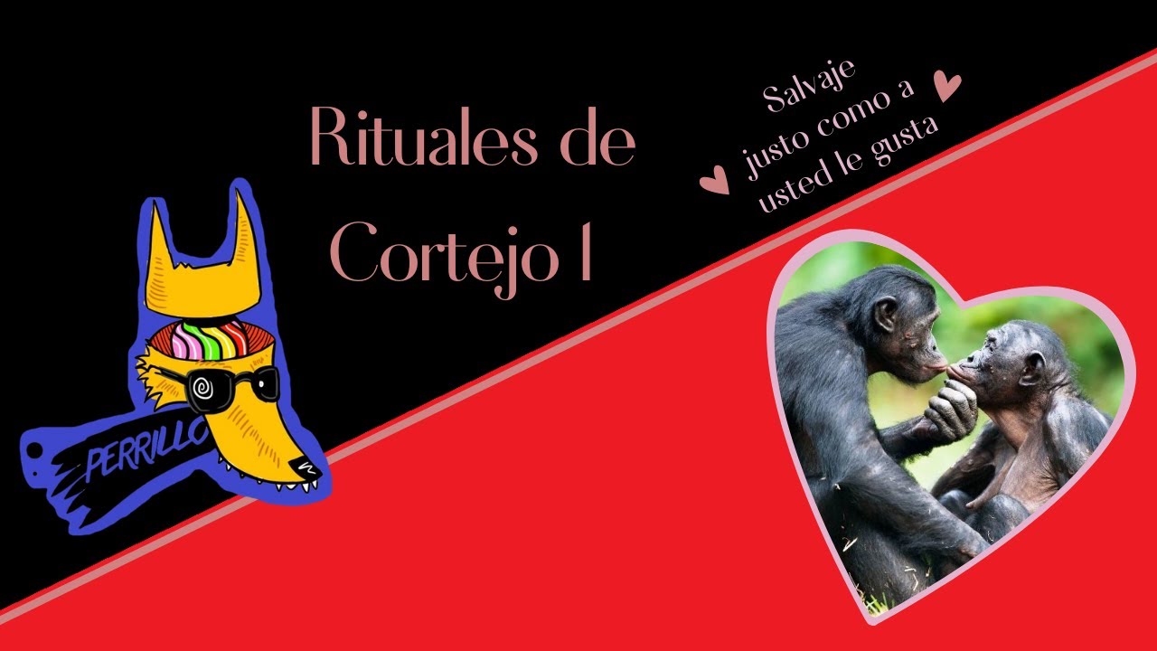 Rituales de Cortejo: Romeo y Julieta es cualquier vara. | Ep 14 ...