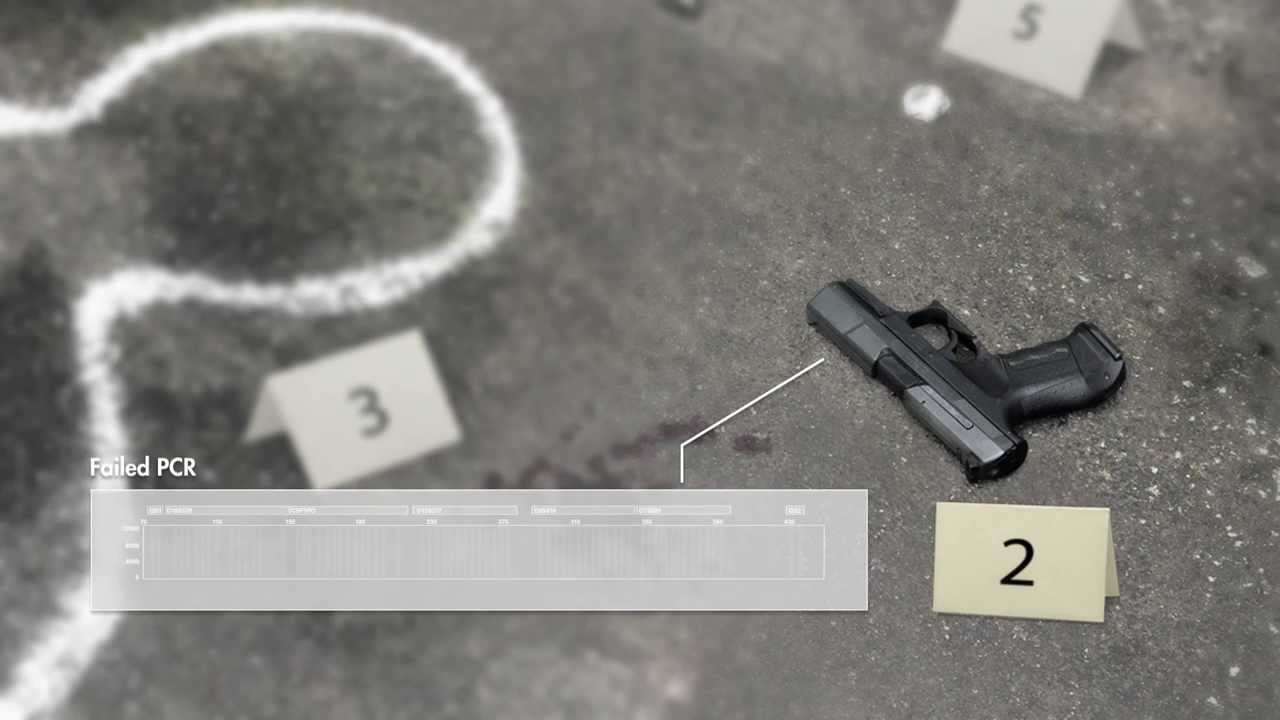 Get more insight into the STR analysis of your forensic DNA samples ...