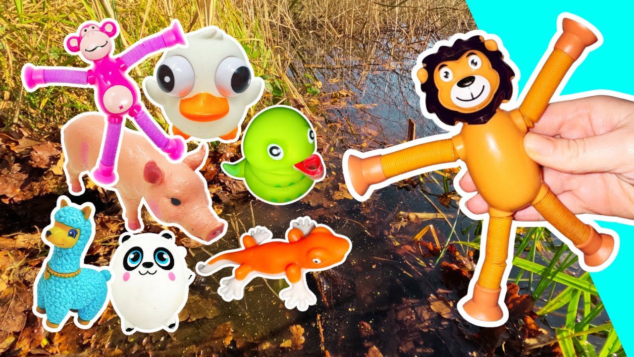 Learn Animal Names at the Pond for Babies Toddlers Kids: Duck Alpaca ...