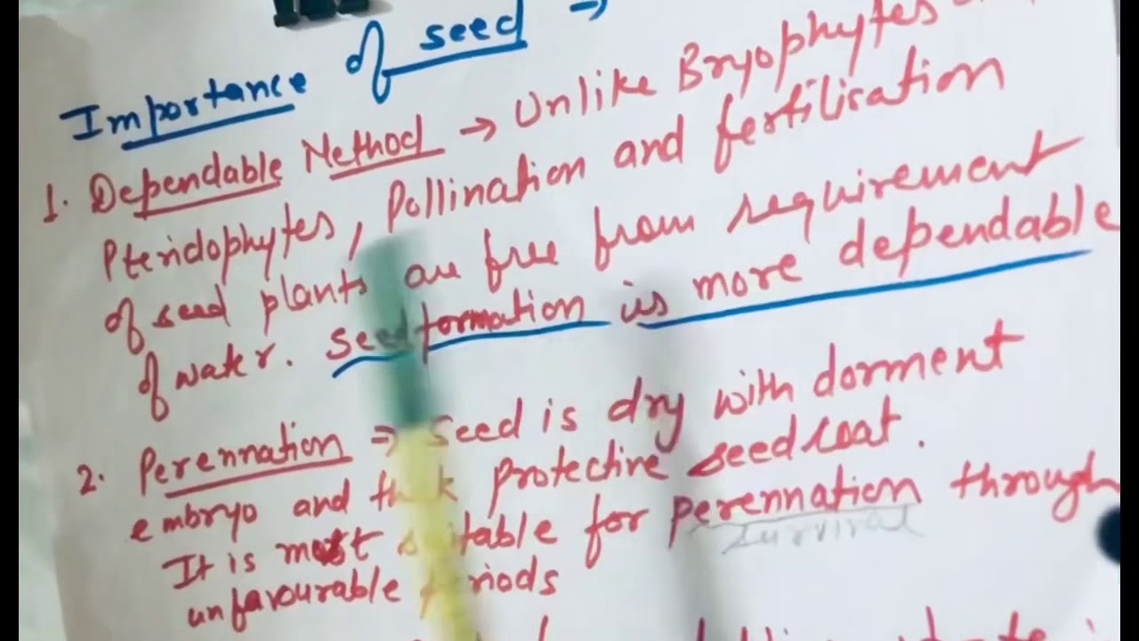CLASS 12|| IMPORTANCE OF SEED - YouTube