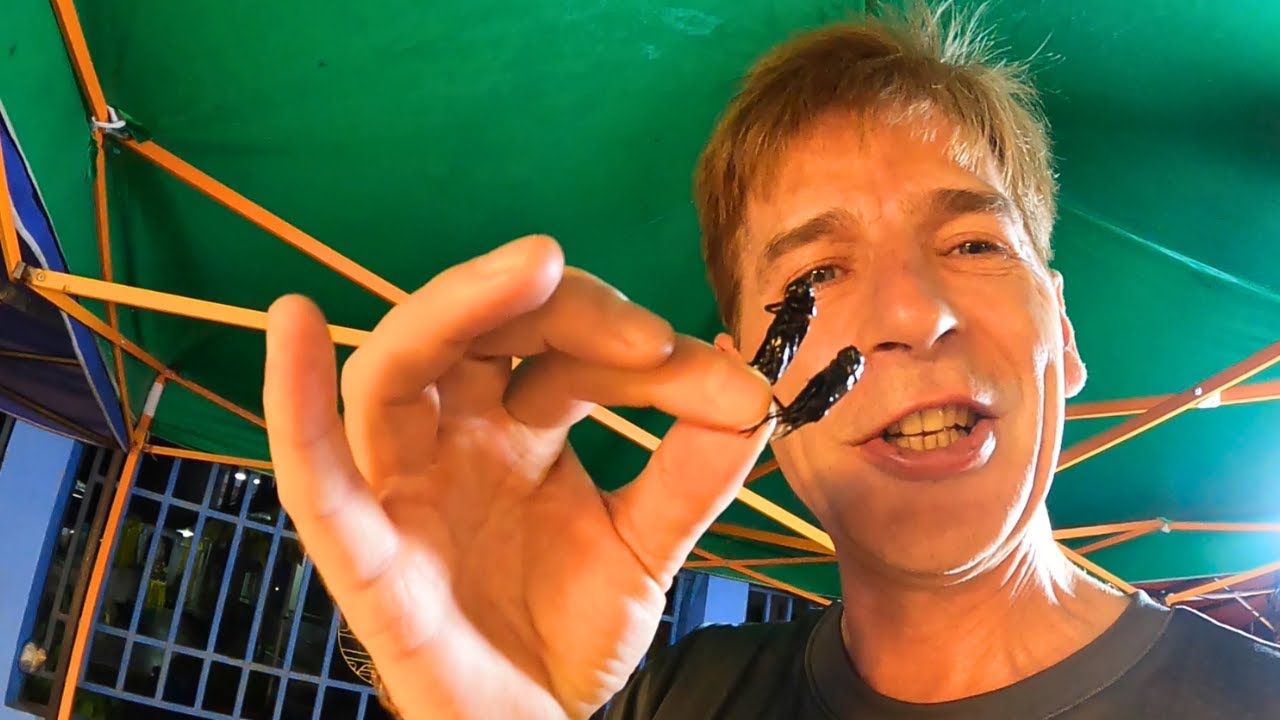 Eating Bugs at The Burmese Border! 🇹🇭 🇲🇲 - YouTube