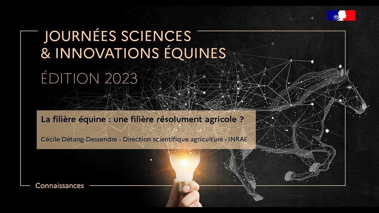 La filière équine : une filière résolument agricole ? - Cécile Détang ...