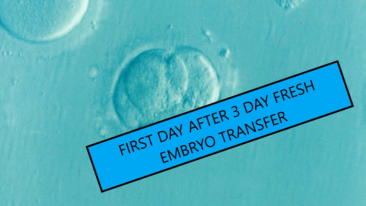 Day 1 after 3 Day Fresh Embryo Transfer - IVF, 3rd Cycle, Hope for a ...