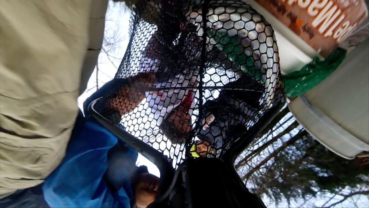 Smelt fishing Cowlitz River - Underwater Smelt Cam! - YouTube