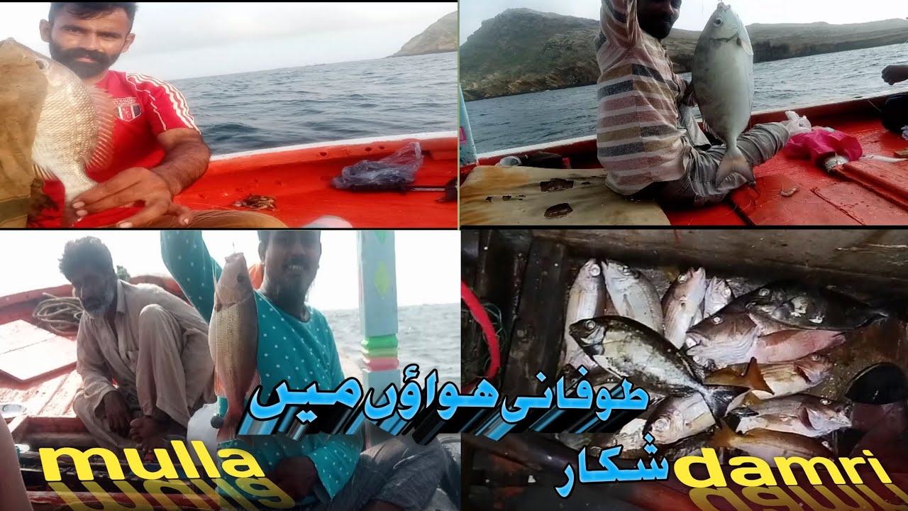 sunhara tu satao 23/8/2024 Sky Sea Fishing 🎣 Shahid bond season first ...