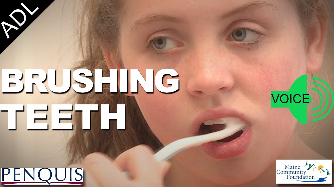 Brushing Teeth (Voice Instructions) - Penquis ADL Tools - YouTube
