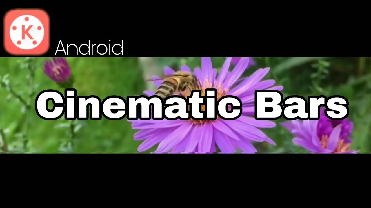 How To Add Bars In Video By Mobile Using Kinemaster YouTube how-to-add-bars-in-video-by-mobile-using-kinemaster-youtube