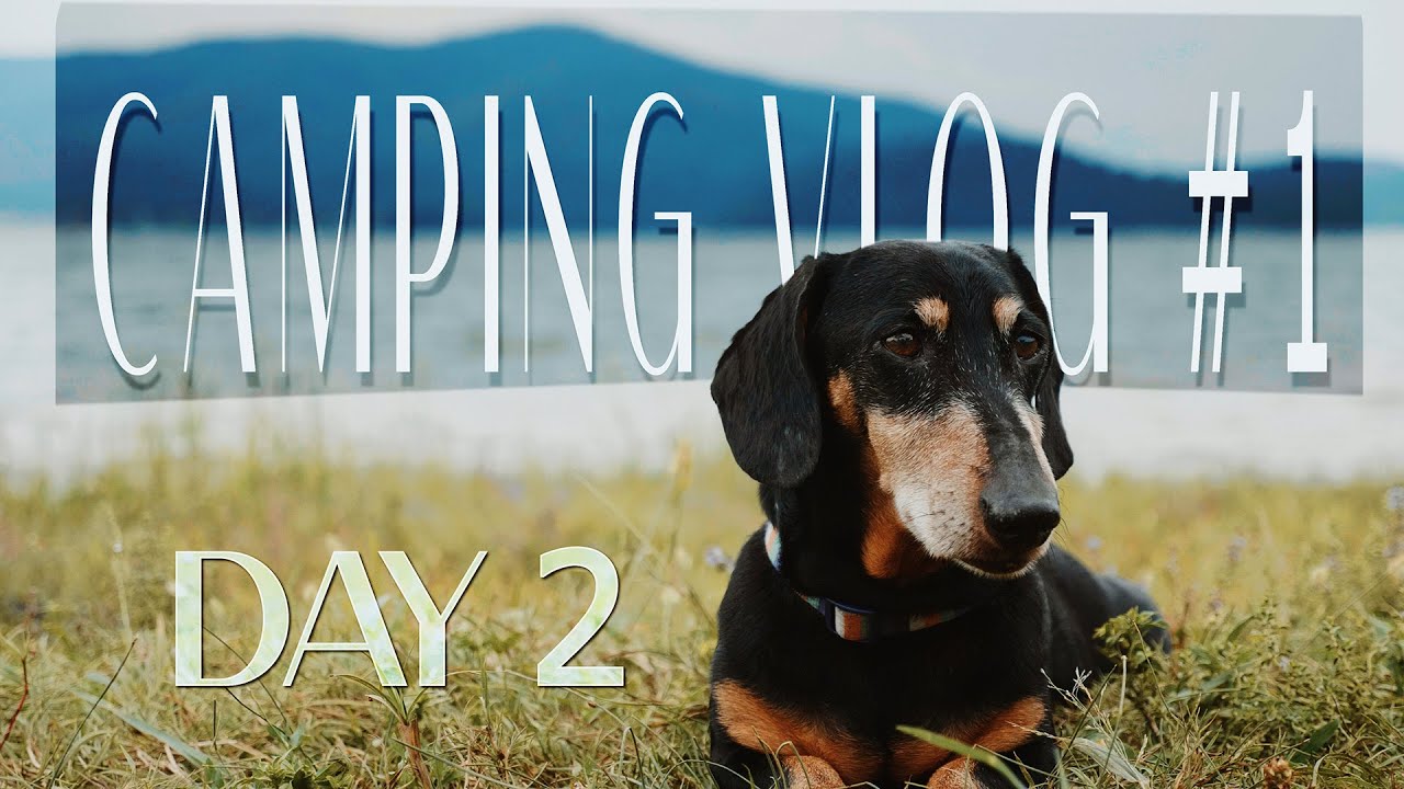 Camping Vlog #1 - Lacul Surduc DAY 2 - YouTube