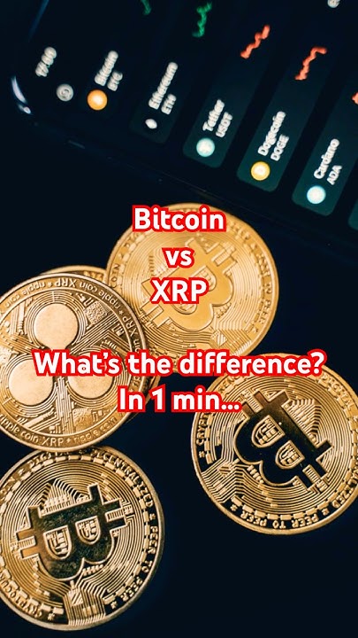 Bitcoin vs XRP: The Ultimate Showdown! - YouTube