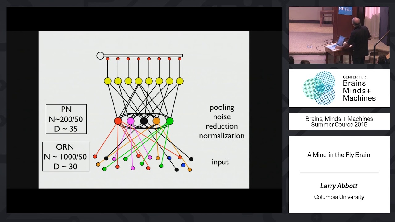 Seminar 1: Larry Abbott - Mind in the Fly Brain - YouTube