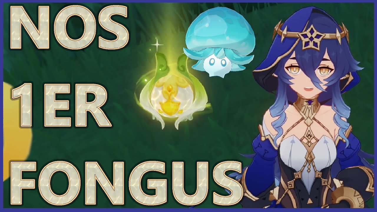 Chahut de Fongus : La compétition la plus fantastique dont vous n'avez ...