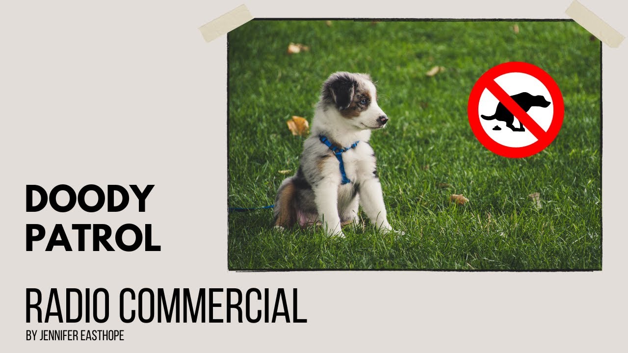 Doody Patrol Radio Commercial - YouTube