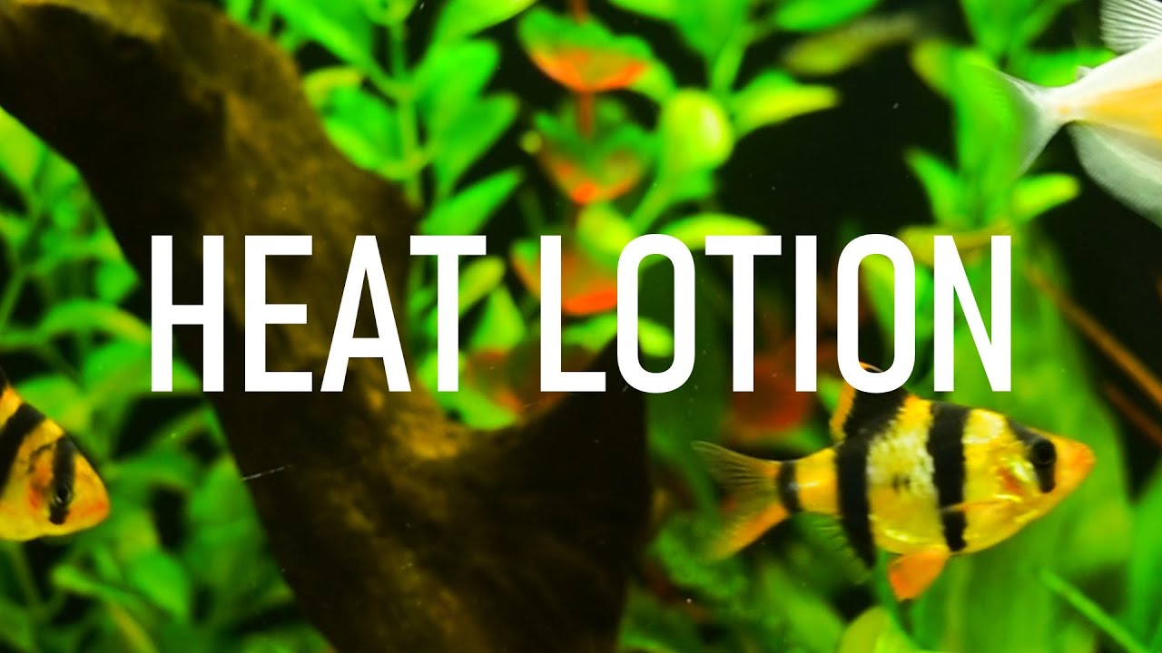 Cecy's Totem - Heat Lotion [Lyric Video] - YouTube