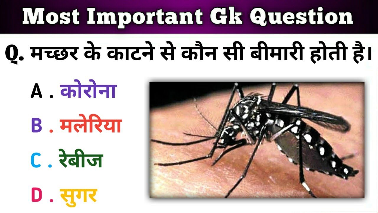Gk in Hindi | general science | Science Most Important Question | gk ...