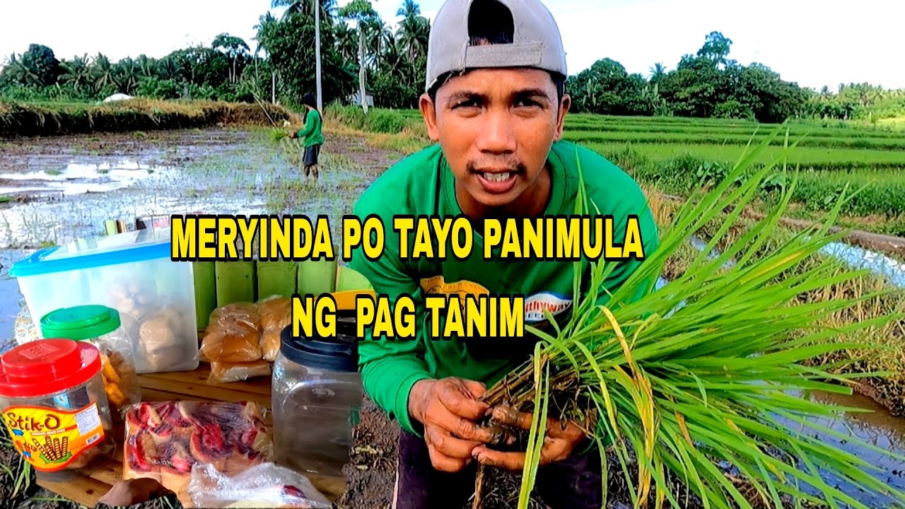 Meryinda po tayo pag tanim ng libreng punla ng palay - YouTube
