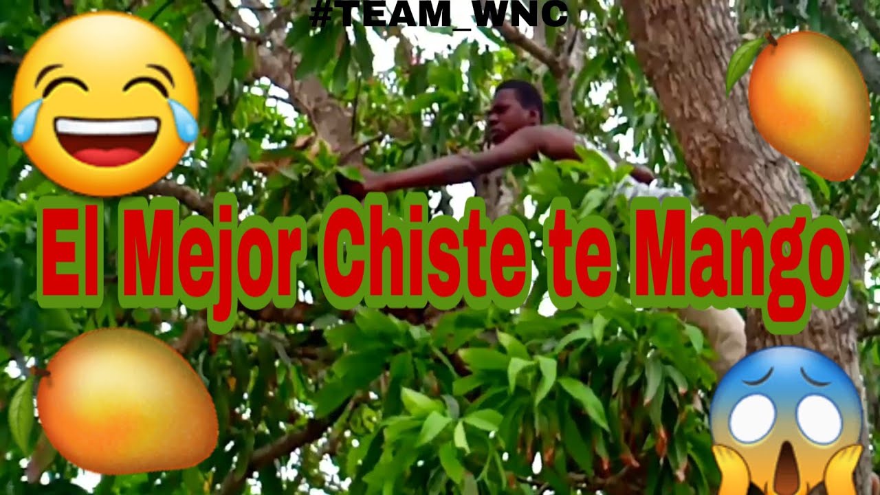 (La Mata de Mango) 😂 Chiste Dominicano (La Para Anyelo) y Oscar Wnc # ...