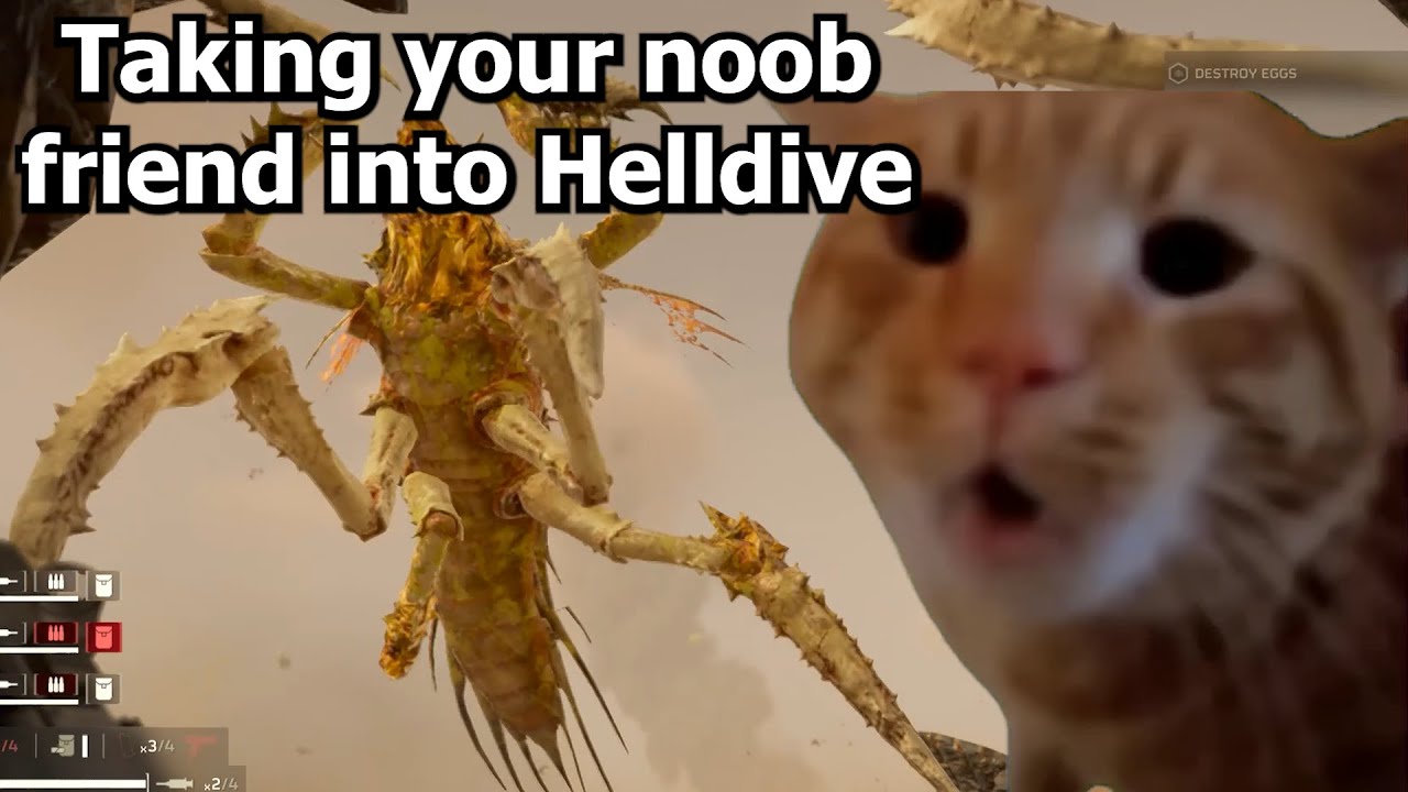 Helldiver Cat Memes 1 - YouTube